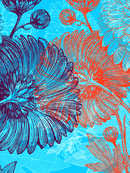 Marco Victorino popshop polaroid N042 by Marco Victorino - TurningArt