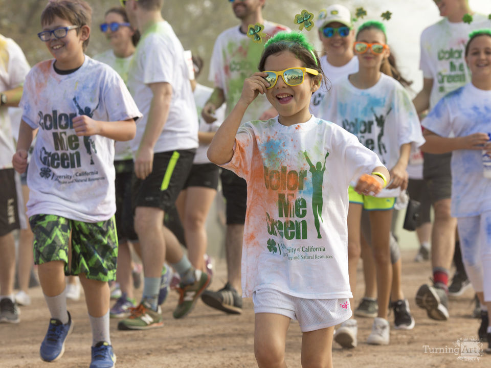 9920 by 4 H National Council - TurningArt