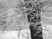 Doug Fluckiger - TurningArt