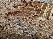 Lisa Whitlock - TurningArt