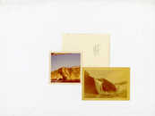 Eric Graham - TurningArt