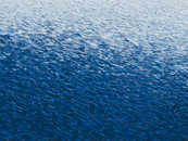 Kenneth Ober - TurningArt