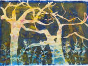 Fairyland by Mary Beth Maisel - TurningArt