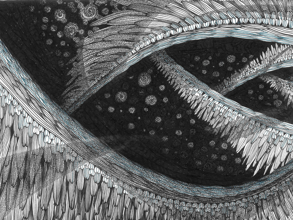 Nives Palmić - TurningArt