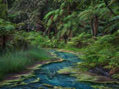 Michael Breitung - TurningArt