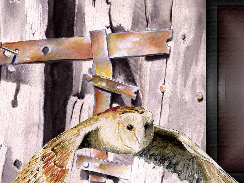 David Squibb - TurningArt